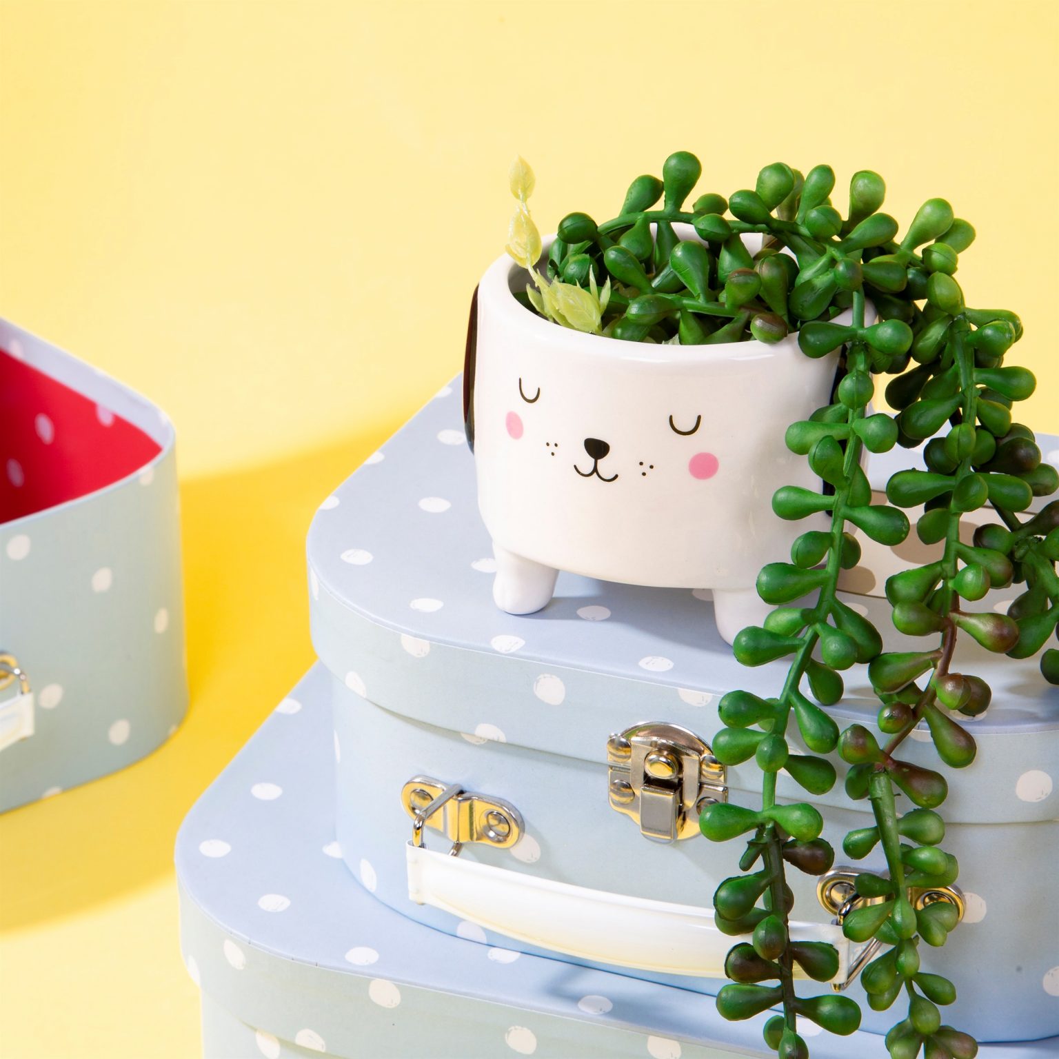 Hund kruka mini Sass & Belle - PLANTEDLI